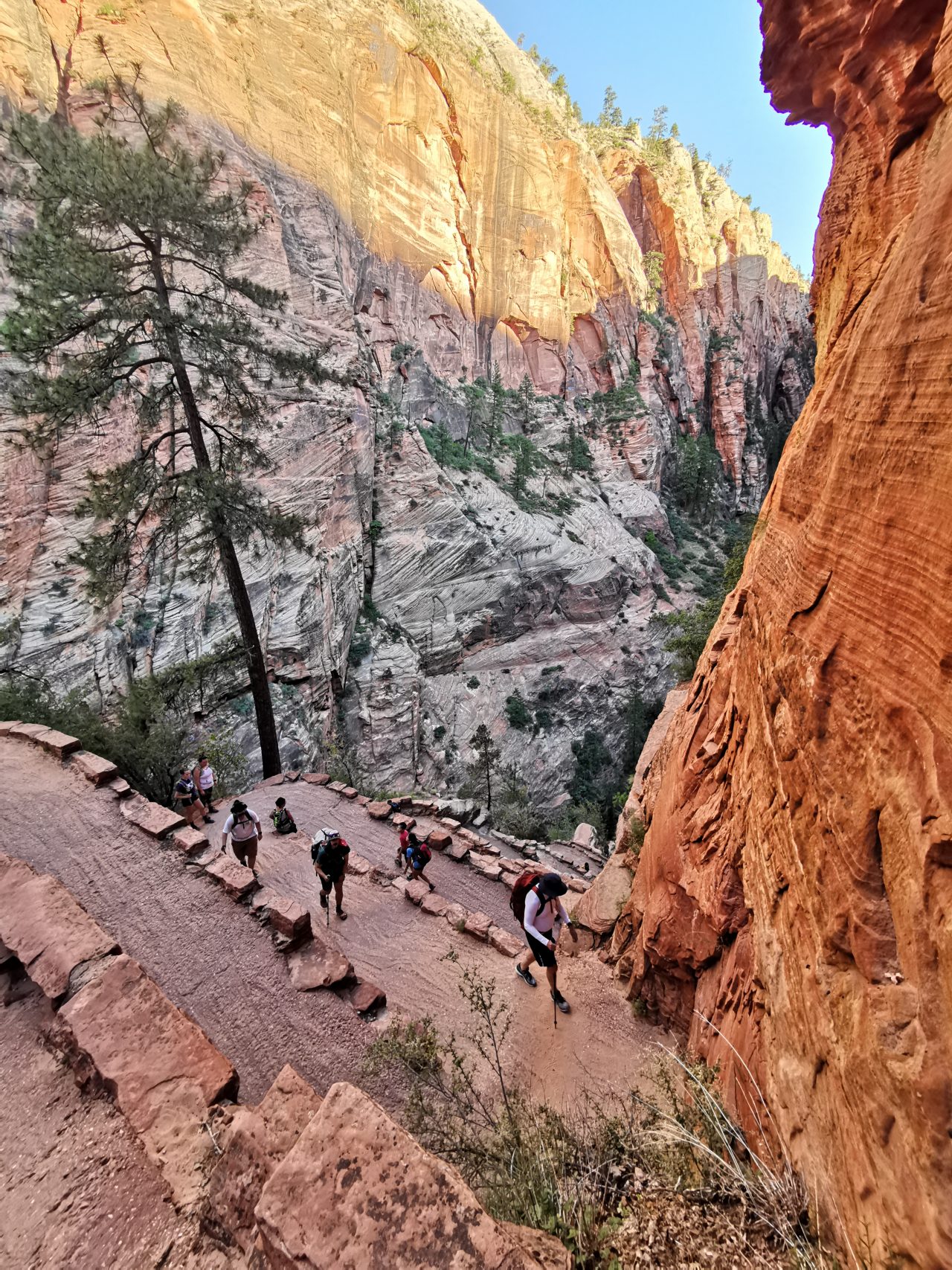 Trek America | Day 17&18: Zion - hayleyxmartin